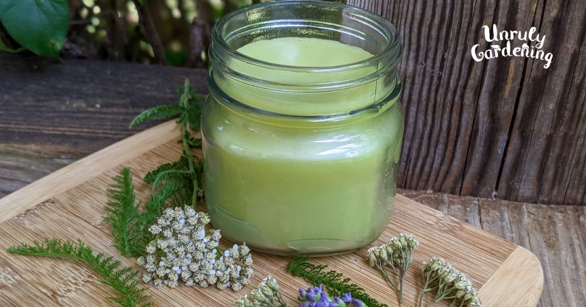 Achilles' Heel Yarrow Salve - Unruly Gardening