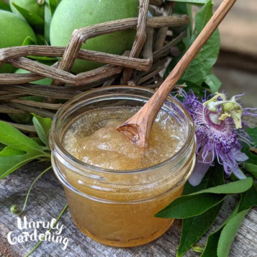 Growing & Foraging Passionflower & Maypops (+ ways to use them ...